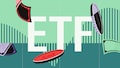 Why Vanguard Total International Stock ETF is One of The Best | Morningstar